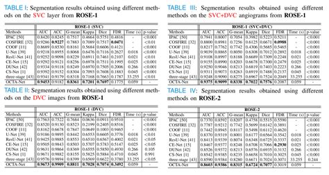 ROSE A Retinal OCT Angiography Vessel Segmentation Dataset And New