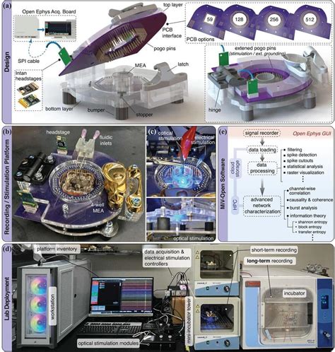 Researchers Design New Open Source Technology For Interfacing With