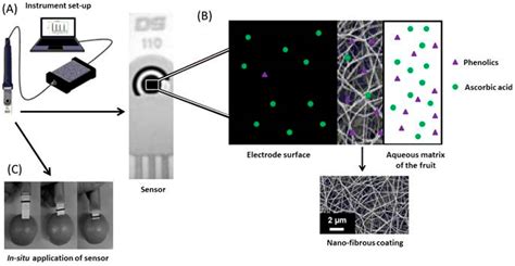 Biosensors Free Full Text Recent Advances In The Fabrication And Application Of Screen