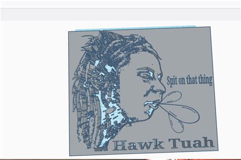 Stl File Hawk Tuah 🦅 ・3d Print Design To Download・cults