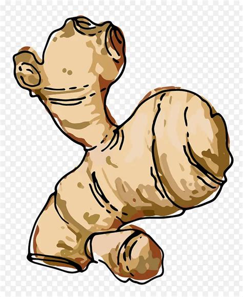 卡通生姜png图片素材下载图片编号8369701 Png素材网