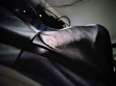 Erect In My Gym Shorts Scrolller