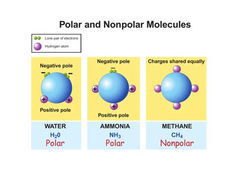 Polarity Solutions And Environmental Chemistry