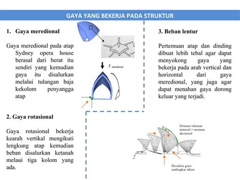 Struktur Cangkang Sell Structure Kel 4 Ppt