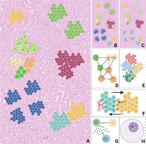 computational solutions for spatial transcriptomics computational and