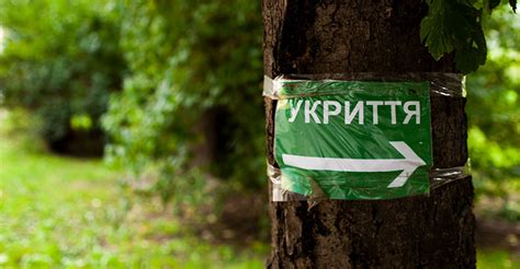 Зачинене укриття у Києві керівнику поліклініки присудили домашній
