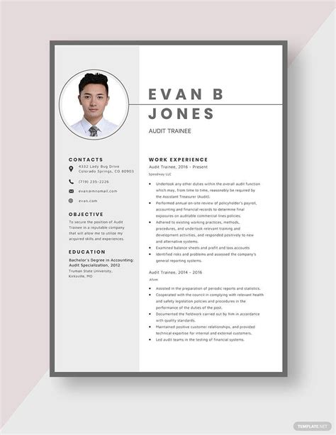Audit Trainee Resume In Pages Word Download
