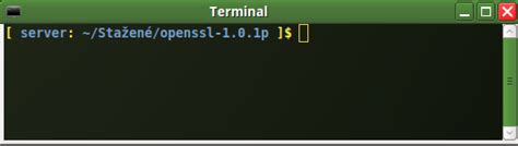 Openssl Linux Mint Czandsk