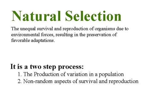 Natural Selection The Unequal Survival And Reproduction Of