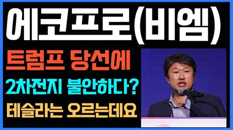 🌈 에코프로 트럼프 당선에 2차전지 불안하다 테슬라는 오르는데요 Youtube