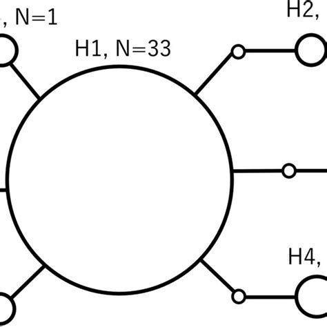 Parsimony Network Of Mitochondrial Coi Haplotypes Inferred From 41