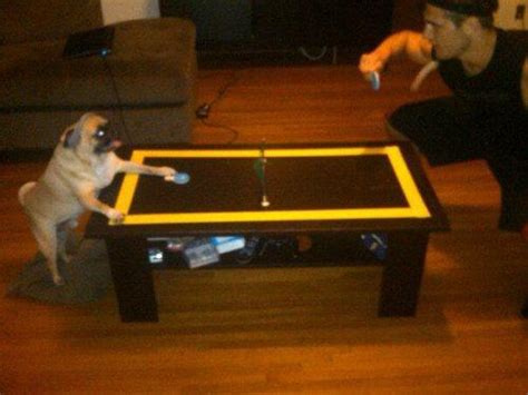 Funny Pic Dump 2914