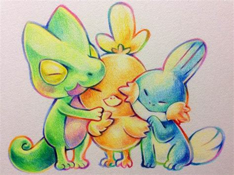 精灵宝可梦彩色铅笔手绘treeckotorchicmudkip ふくillustration Pixivdaily