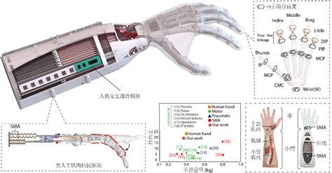【科学网】中国科大成功研发19自由度仿生灵巧手 中国科大新闻网