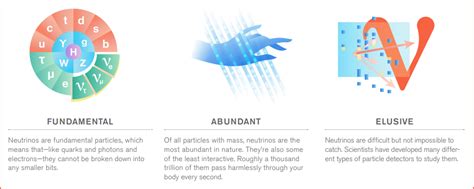 Ghost Particles