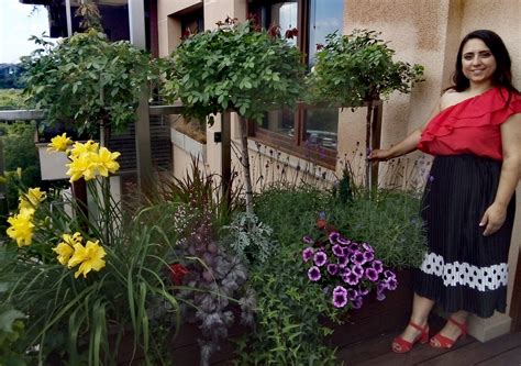 Озеленяване на тераси и балкони Interiorplant