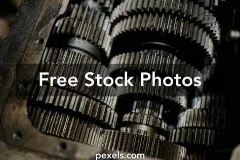 Parts Of A Roots And Function Photos Download The Best Free Parts Of A Roots And Function Stock Parts Of A Roots And Function Photos Download The Best Free Parts Of A Roots And Function Stock