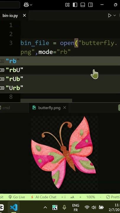 How To Create A Bufferedreader Object Python Binary File Youtube