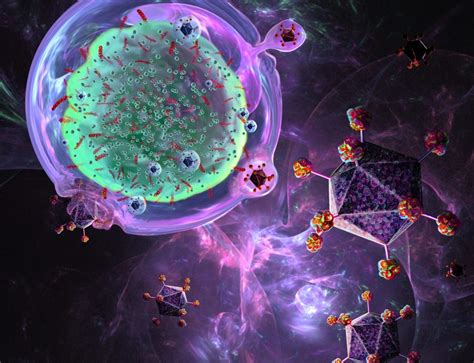 Real Time Potency Assay For Car T Cell Killing Of Cancer Cells