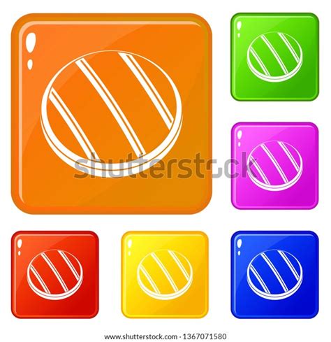 Grilled Round Beef Steak Icons Set Stock Vector Royalty Free