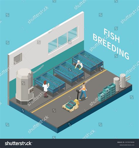 Industrial Commercial Seafood Fish Breeding Aquaculture Stock Vector