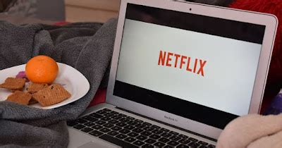 Encuentra qué ver en Netflix búsqueda sitios ocultos y categorías Recurso Wordpress