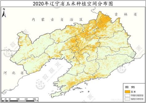 Kws7340玉米种植区域kws7340玉米积湖南玉米种植区域在哪大山谷图库