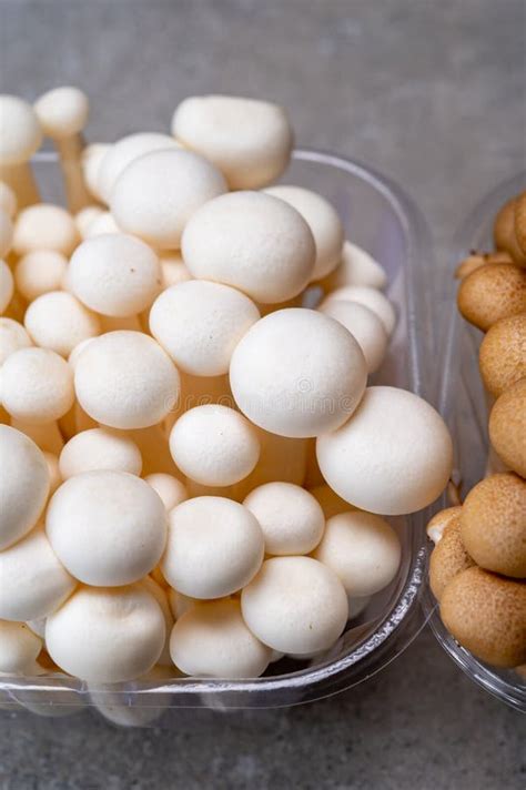Fresh Buna Brown And Bunapi White Shimeji Edible Mushrooms From Asia