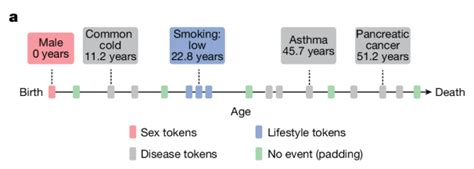 [frontier Insights] Gptが拓く未来の医療：人の病歴から1000以上の疾患を予測・生成するai「delphi 2m」【nature論文解説】 Decades Inc