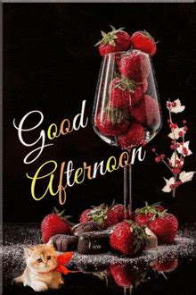 Good Afternoon Images  Good Afternoon Images Discover And Share S