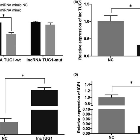 Lncrna Tug1 Regulates The Expression Of Mir‐1‐3p And Igf1 A Mir‐1‐3p