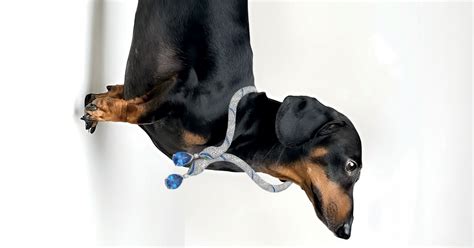 Fetchit Nargis Magazine Журнал Nargis