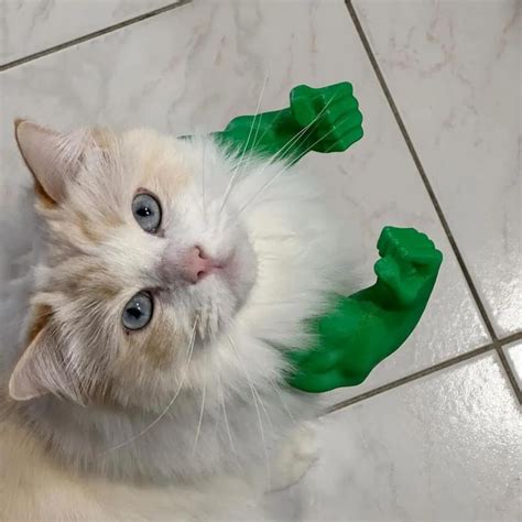 3d Print Muscle Arms For Cat Etsy