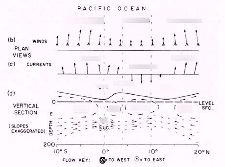Dynamics Exam 2 Diagram Quizlet