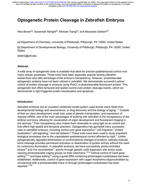 Pdf Optogenetic Protein Cleavage In Zebrafish Embryos