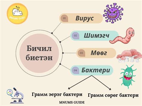 БАКТЕРИ ГЭЖ ЮУ ВЭ Бактерий эсийн Tserensambuu Sharav
