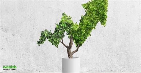 Mutual Fund Review Mirae Asset India Equity Fund