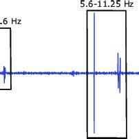 Wavelet Transform Of Force Signal With Upper Right Hand Download Scientific Diagram