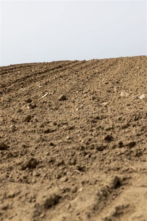 Poor Infertile Soil In The Field In The Spring After Plowing Stock