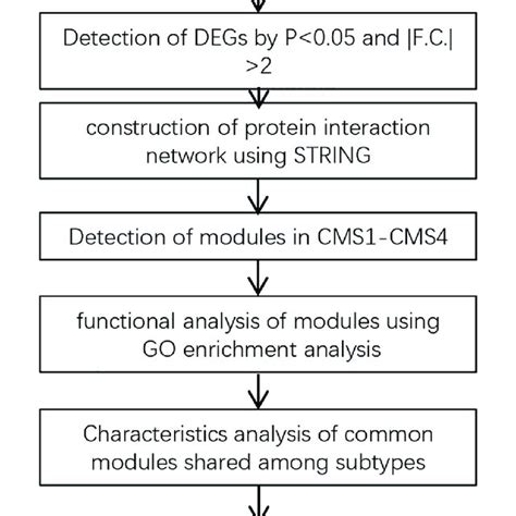 Schematic Workflow Of The Bioinformatics Pipeline Used For The Search