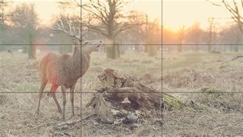 The Total Beginners Guide To The Rule Of Thirds Creative Market Blog