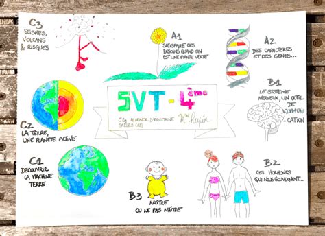 Programme SVT 4ème