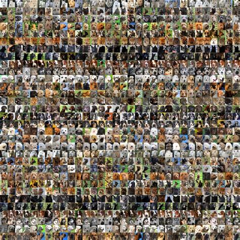 Generated Images Using The Proposed Method Trained On Food101 Dataset Download Scientific