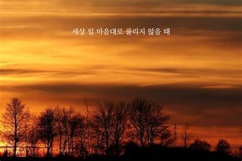 좋은글 삶은 언제나 알 듯 모를 듯 잡힐 듯 말 듯 우리에게 다가온다 왜 삶은 정확한 정답을 주지 않는 것인지 왜