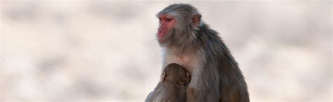 Our Focus Evolution Education Trust