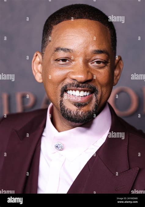 Westwood Los Angeles California Usa November 30 American Actor