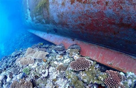 中共貨物船の座礁 石垣島の石西礁湖 1592takakumaさんのﾌﾞﾛｸﾞ