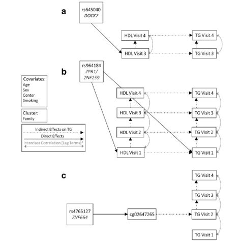 Diagram Illustrating The Full SEM Model Download Scientific Diagram