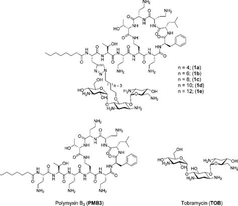 Chemical Structure Of Polymyxin B 3 −tobramycin Hybrids 1a−1e