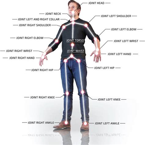 Tracking Results Of Three Body Tracking Algorithms A Cubemos [9] Download Scientific